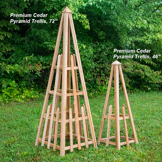 Cedar Large Sized Pyramid Trellis by Prime Retreat, 72"H – Prime ...