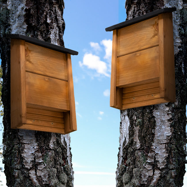 Woodlink Wooden Bat Shelters with Black Roofs, Pack of 2 – Prime ...